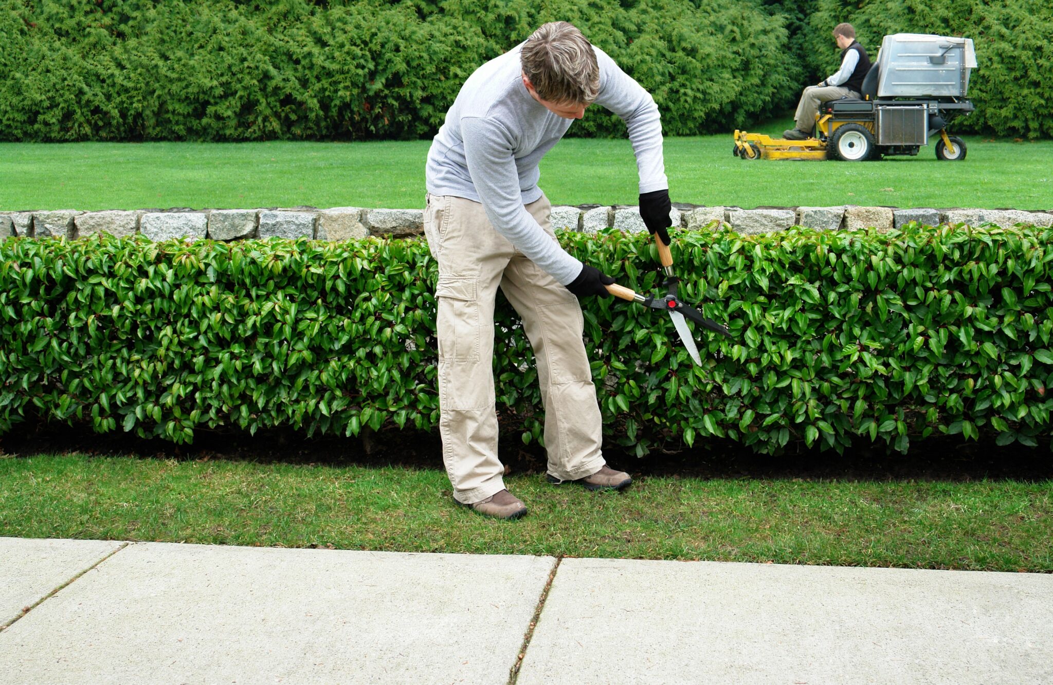 NetSuite for Landscaping ERP Software | NewGen Business Solutions